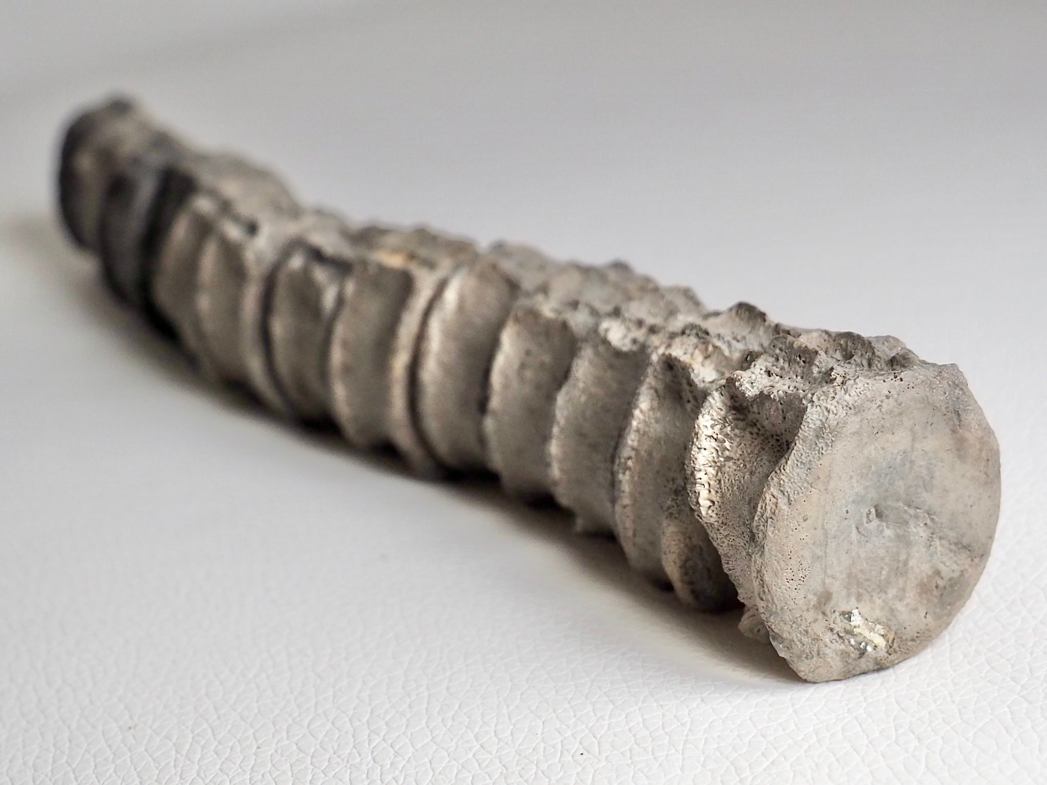 Whitby Bone Material – BuyAFossil